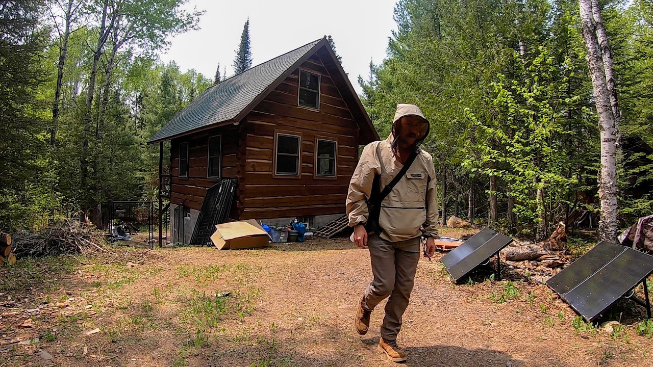 Morel Mushroom Hunting In Northern Minnesota - YouTube
