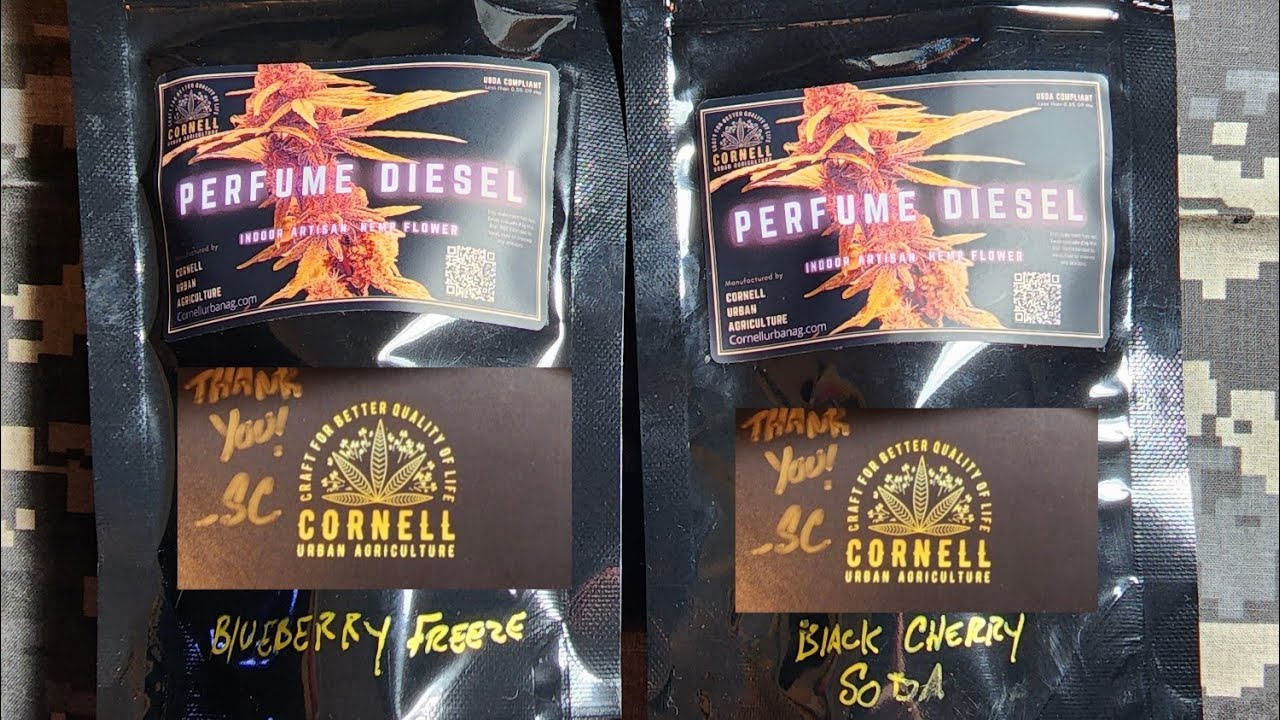 CBD Unboxing - Blueberry Muffin from Cornell Urban Agriculture - YouTube