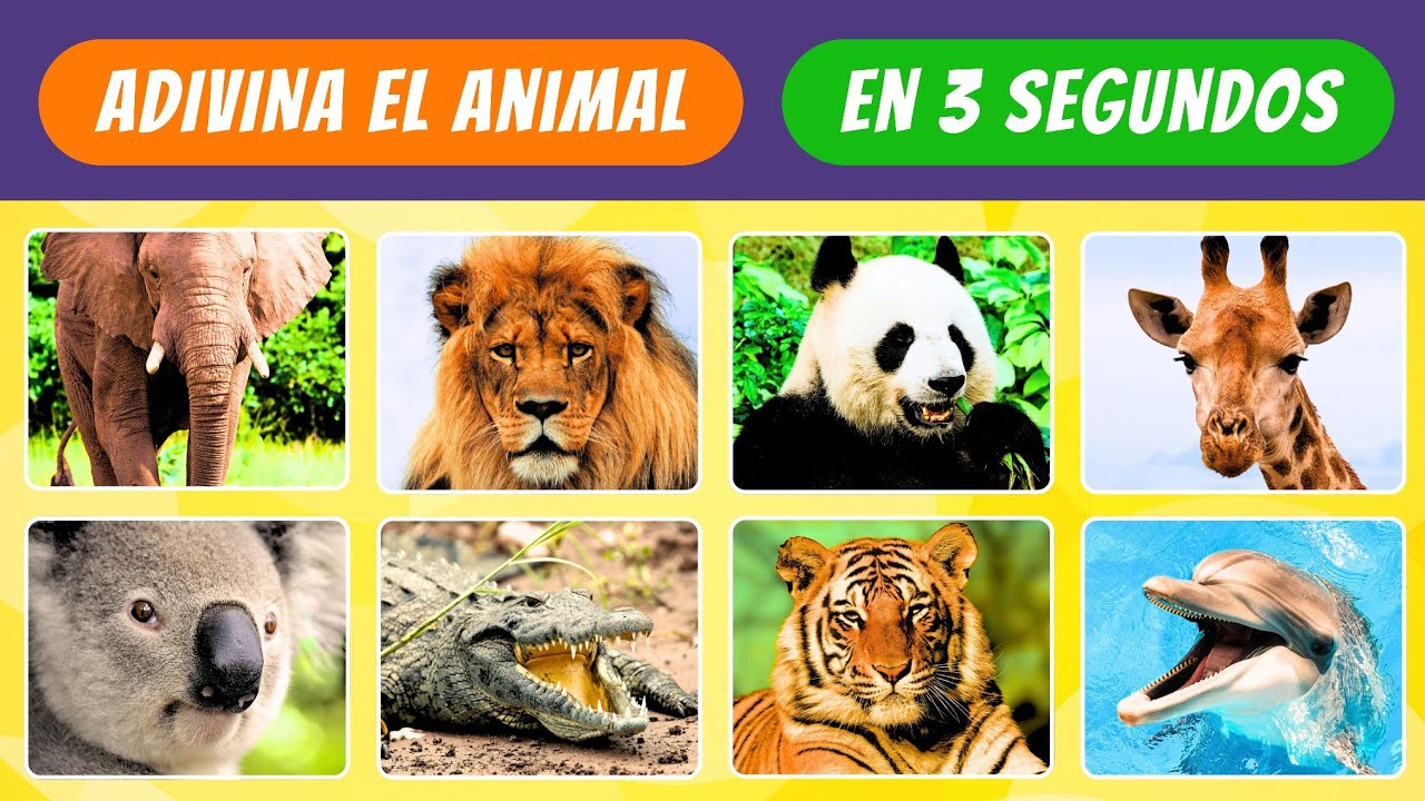 Adivina 50 Animales En 3 Segundos 🐡🦀🦈 Quiz de Animales | Adivina el ...