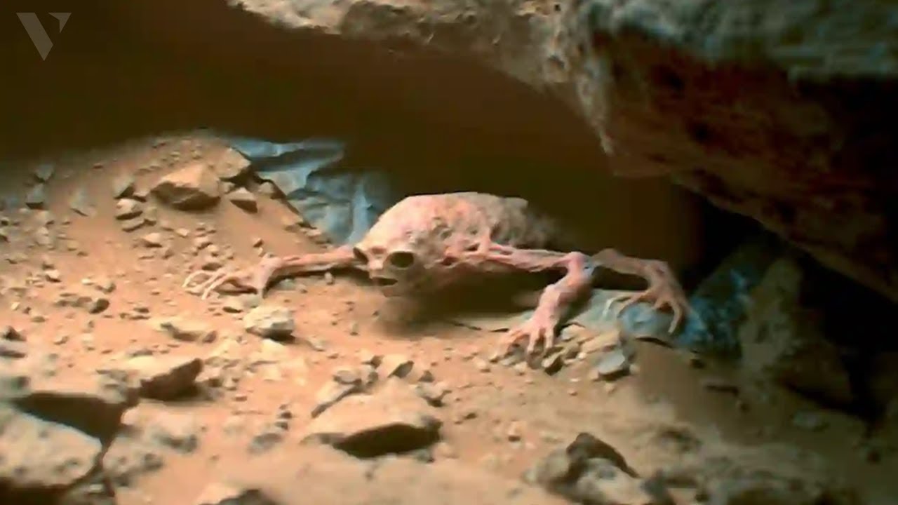 The Curiosity Rover Has Discovered Potential Proof of past Life on Mars ...