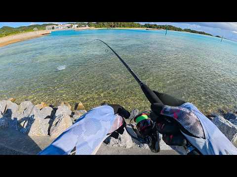 Topwater Fishing For Bream With BANANA LURE! 🍌 