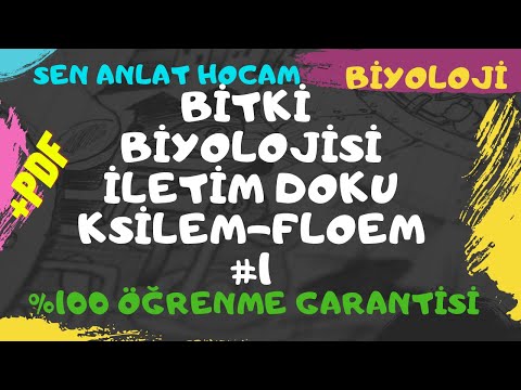 BİTKİ BİYOLOJİSİ KONU ANLATIMI 13 | İLETİM DOKU- KSİLEM-FLOEM 1 | AYT BİYOLOJİ | ✅