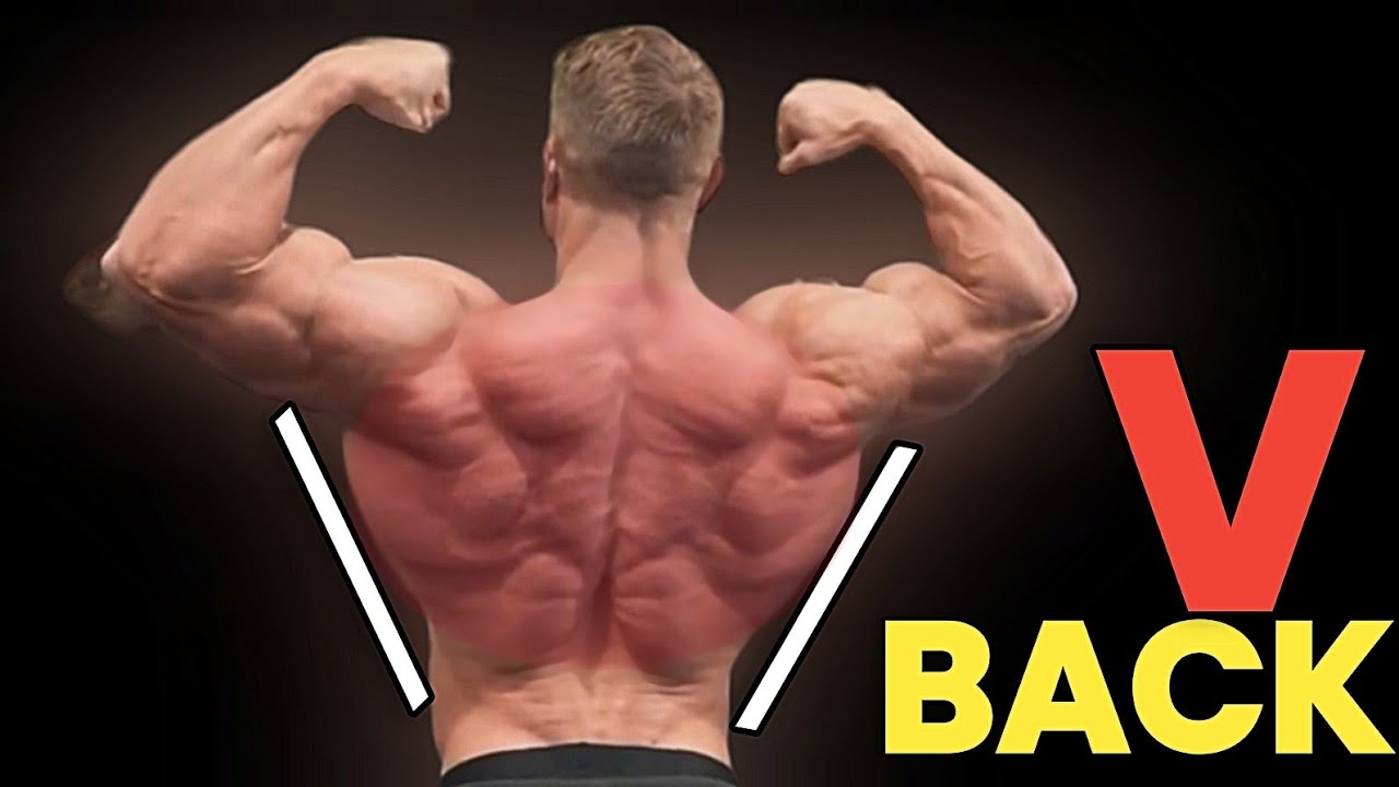 Top Best BACK Exercises to Build Big Back Muscle | Back Workout - YouTube