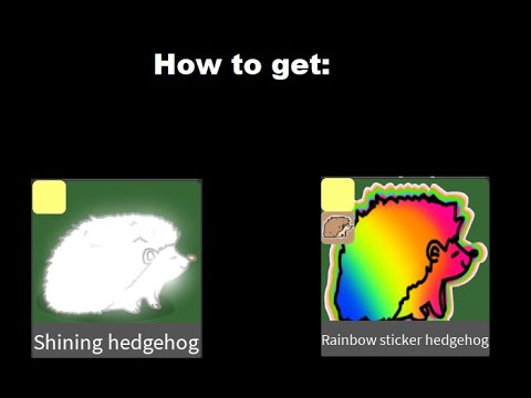 How to get Shining hedgehog and Rainbow sticker hedgehog! | Find the ...