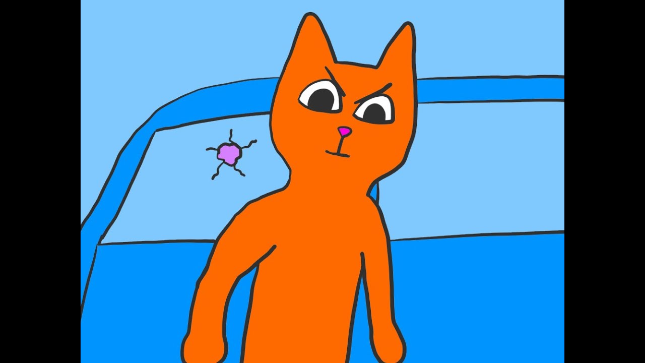 BEST OF Cat News (Compilation) - YouTube