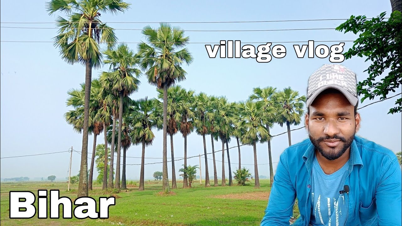 village from bihar बिहार वाला ताड़ी vlog 2 tadi ke maje bihar me ritesh ...