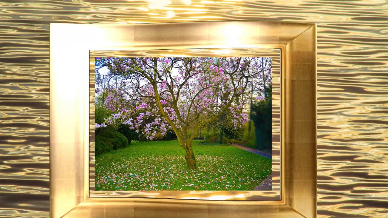 Nature -PHOTO DiaShow(4k-UHD) - YouTube