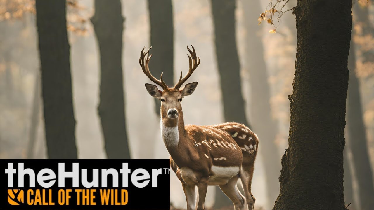 Will Great One Fallow #2 spawn today? - The Hunter call of the Wild ...