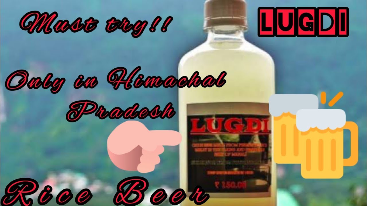 Lugdi From The Land Of God | Himachal Pradesh | Local Rice Beer Manali ...
