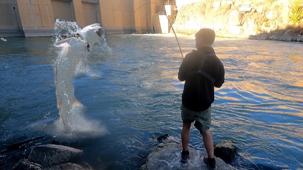 How to Catch HUGE STURGEON from Shore - YouTube