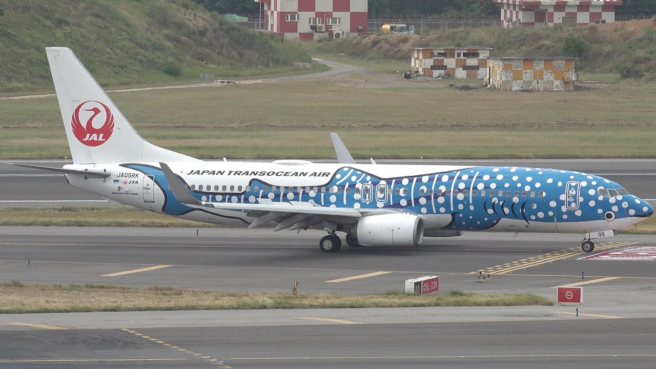 Adorable Flying Whale Shark! Plane Spotting at Taipei Taoyuan Int’l ...