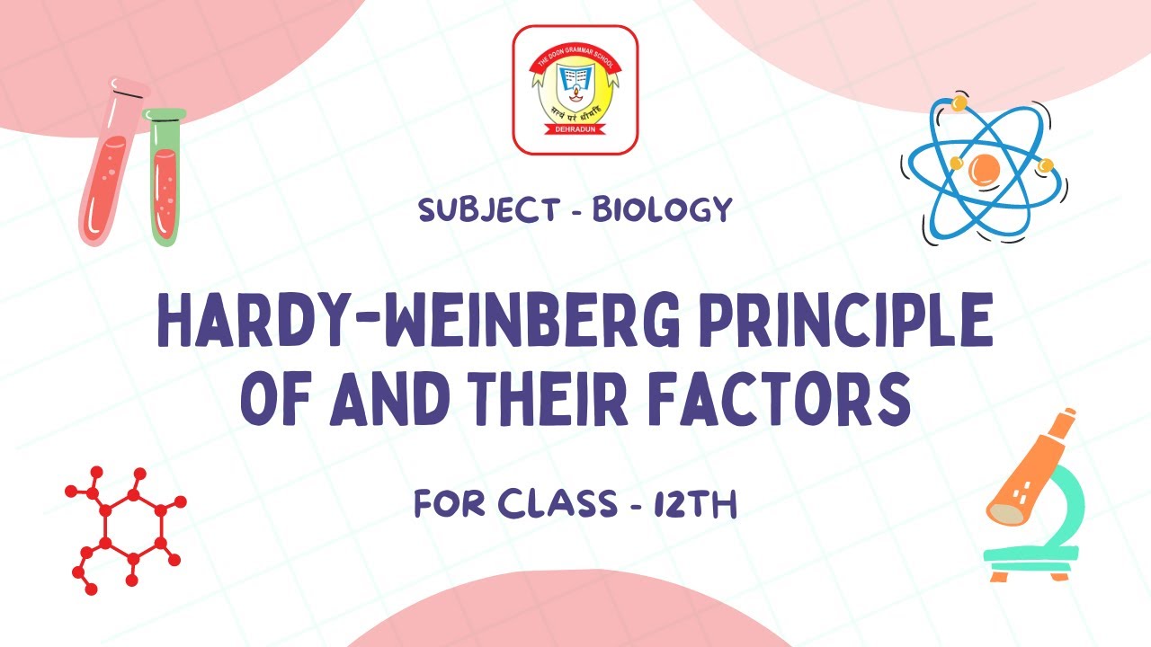 Hardy Weinberg Principle of And Their Factors | Class 12 Biology | The ...