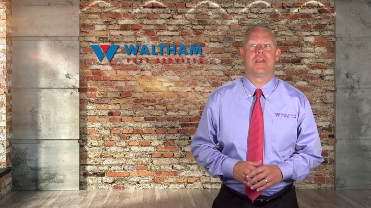 Waltham Pest Services - Recruiting - YouTube