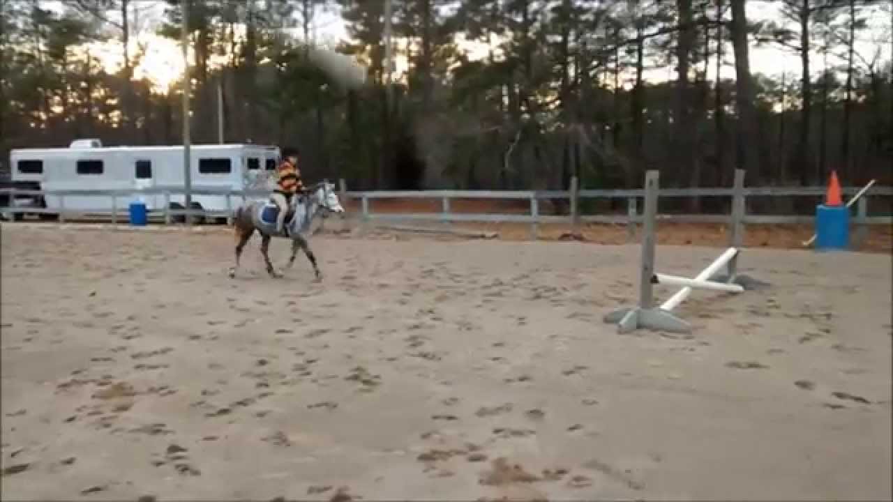 Susie small pony jumping - YouTube