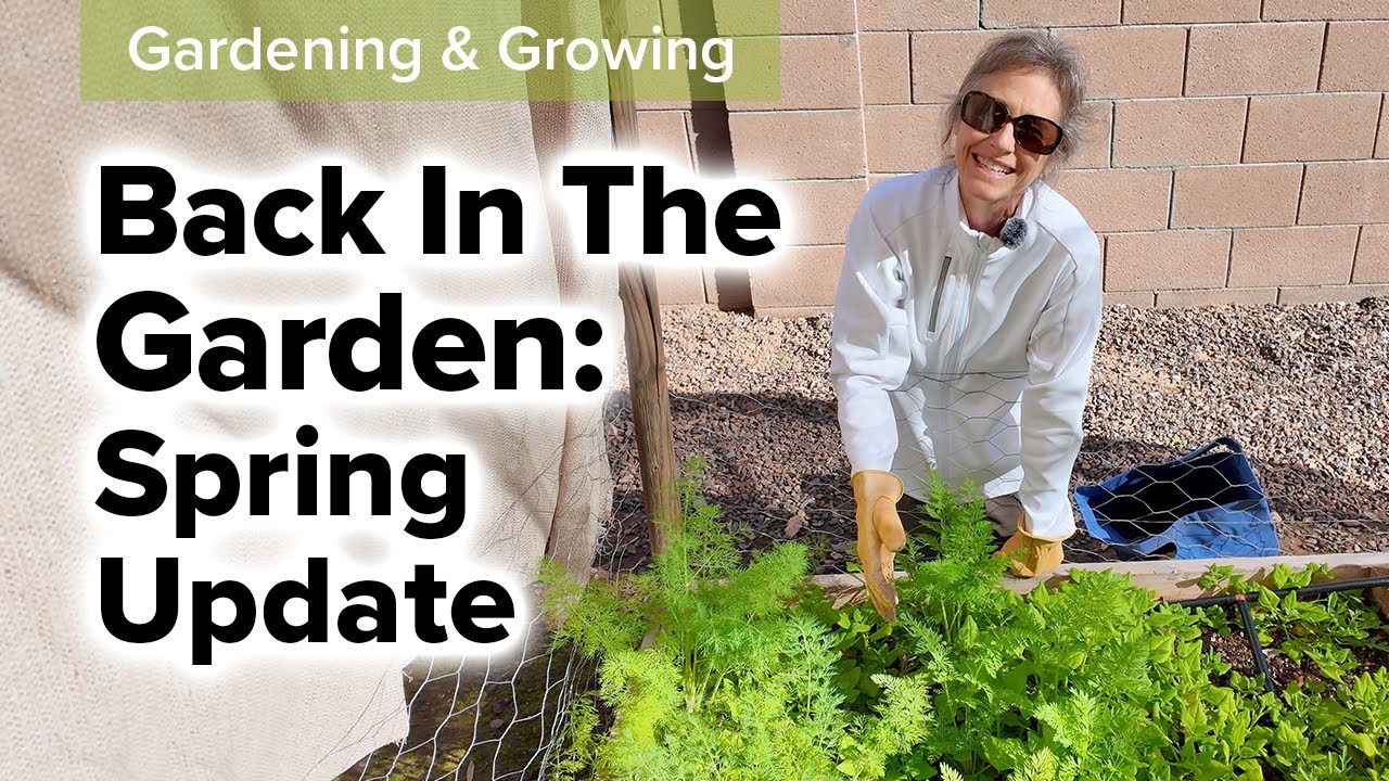Back In The Garden 🌱🌿 🥬 My Spring Update - YouTube