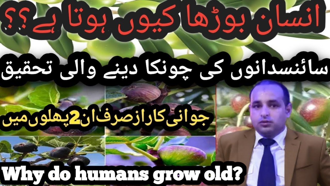 Why Do Humans Grow old, Insan Bhora Q Hota he, Urdu Motivational speech ...