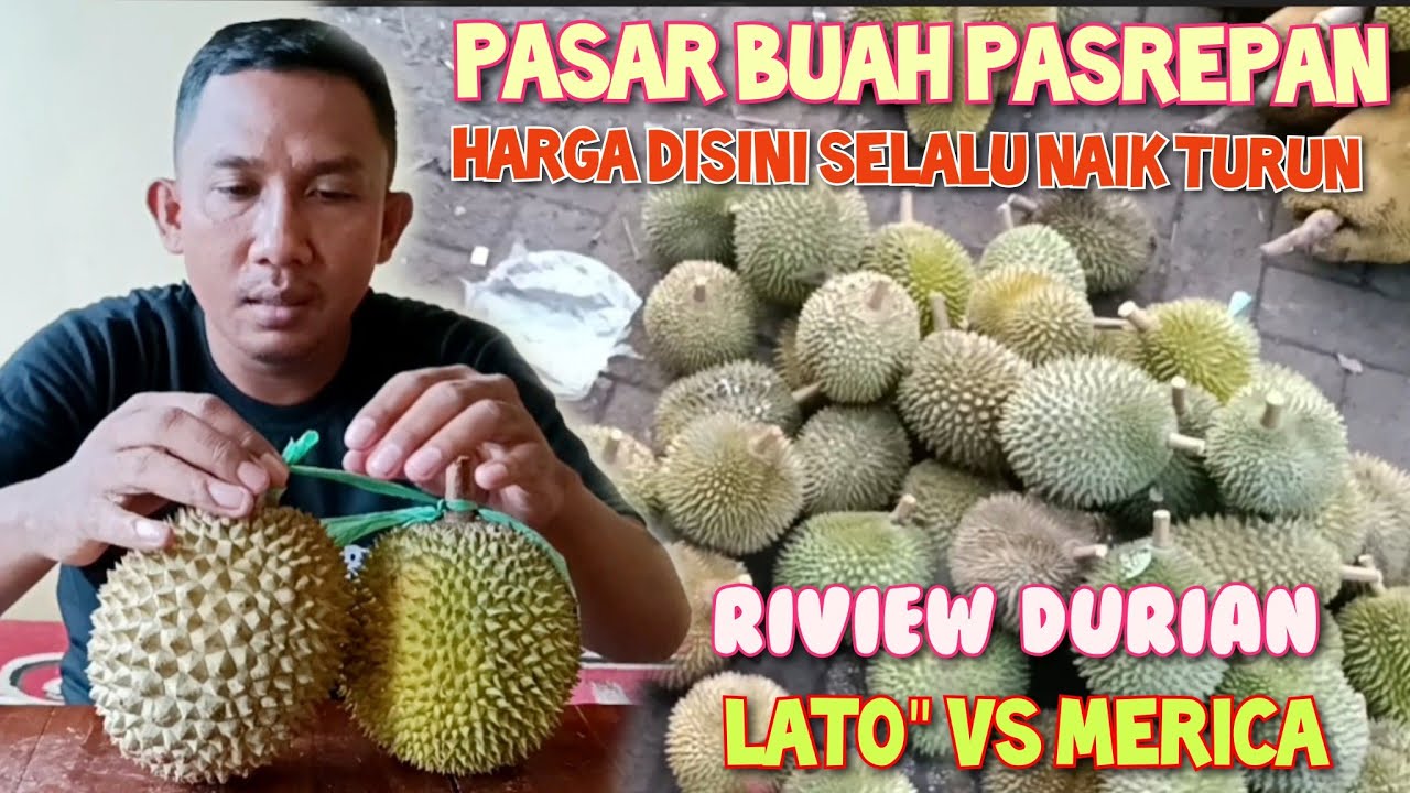 MAIN KE PASAR BUAH PASREPAN ALHAMDULILLAH DAPAT DURIAN MURAH DURIAN ...