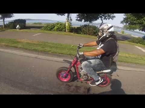 MINI BIKE WITH PREDATOR MOTOR AND ICE BEAR LITTLE MONSTER RIDE - YouTube