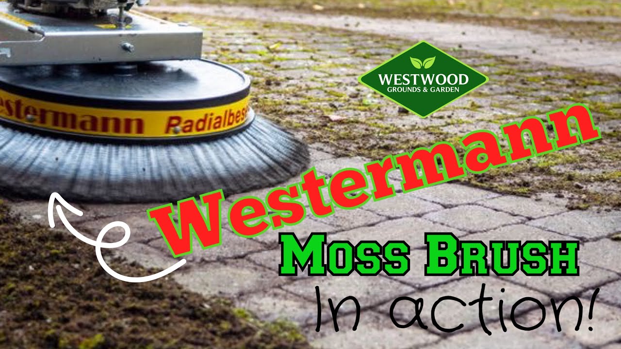 Westermann moss brush on heavily infested cobbles. - YouTube