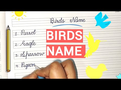 Birds Name In Cursive Handwriting | Cursive Writing For Beginners - YouTube