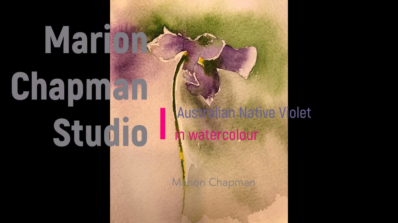 Watercolour Australian native violet, quick sketch and 15 minute ...