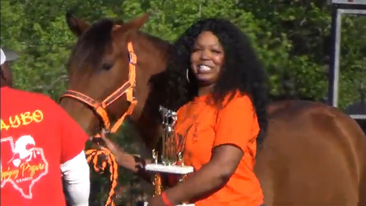 BEST HORSE IN SHOW (Mare Division) at Annual NWO Horse Show and Trail ...