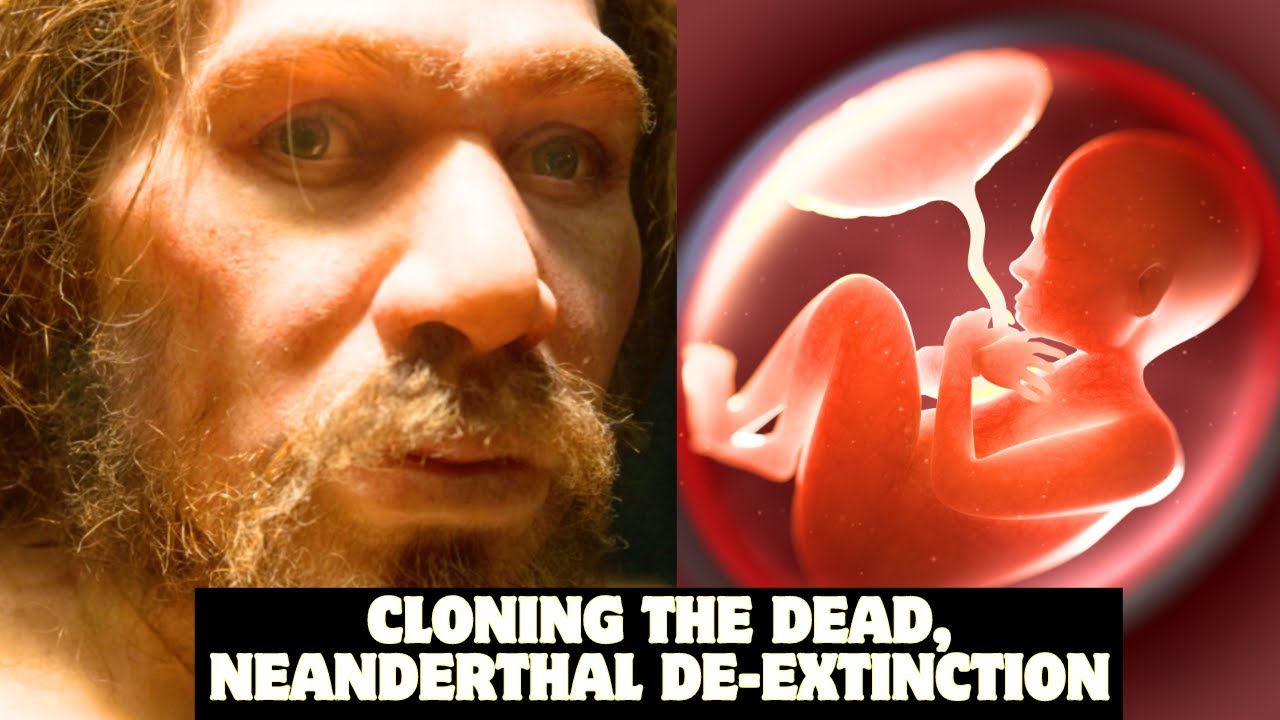 Cloning the Dead, the Moral Dilemma | Neanderthal De-extinction - YouTube