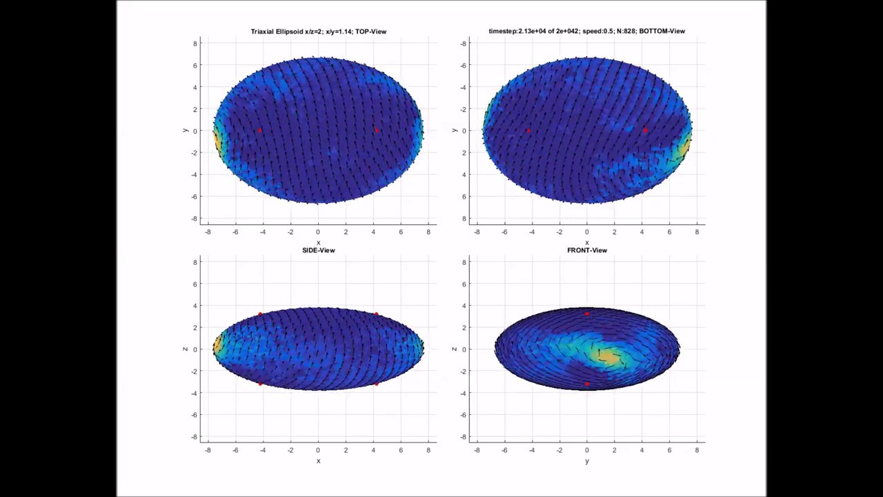 Active particles on a triaxial ellipsoid - Movie 5 - YouTube