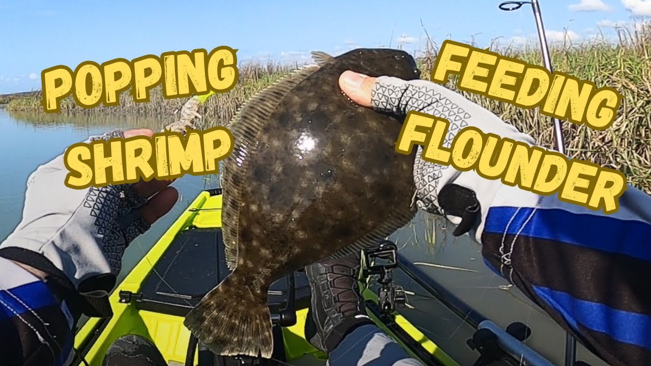 Target Popping Shrimp to Key in on Spring Feeding Flounder in Murrells ...