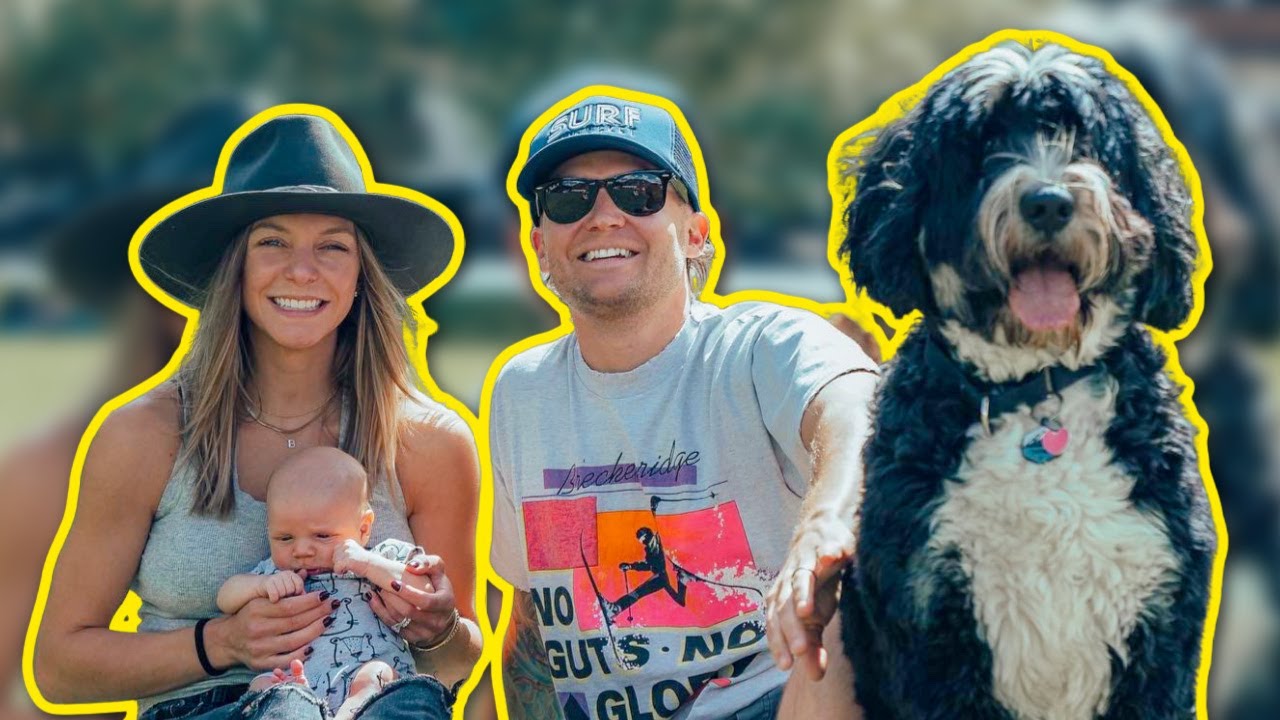 TRAINING MY DOG ON LIVE TV (DOG TRAINER VLOG) - YouTube