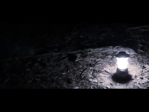 SILIP Trailer