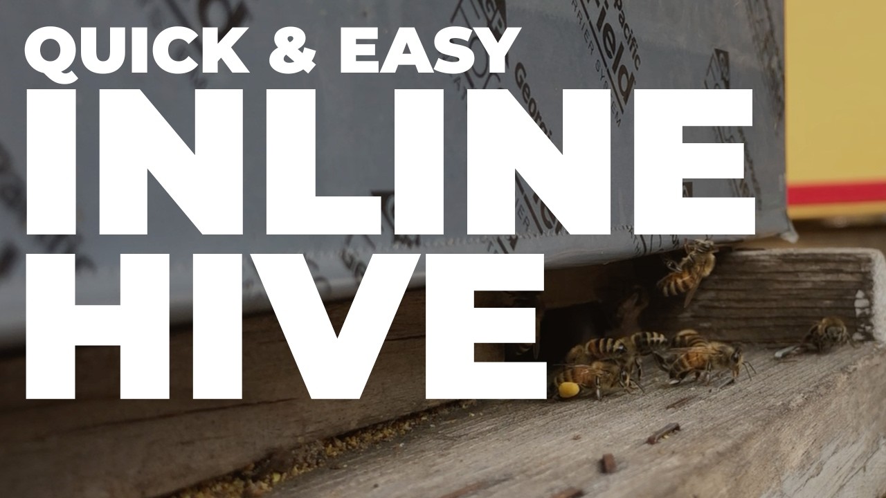 Quick and Easy Inline Hive — Build a Horizontal Hive from Langstroth ...
