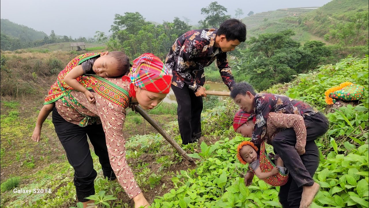 Weeding the cassava garden, A Lu was sick. - YouTube