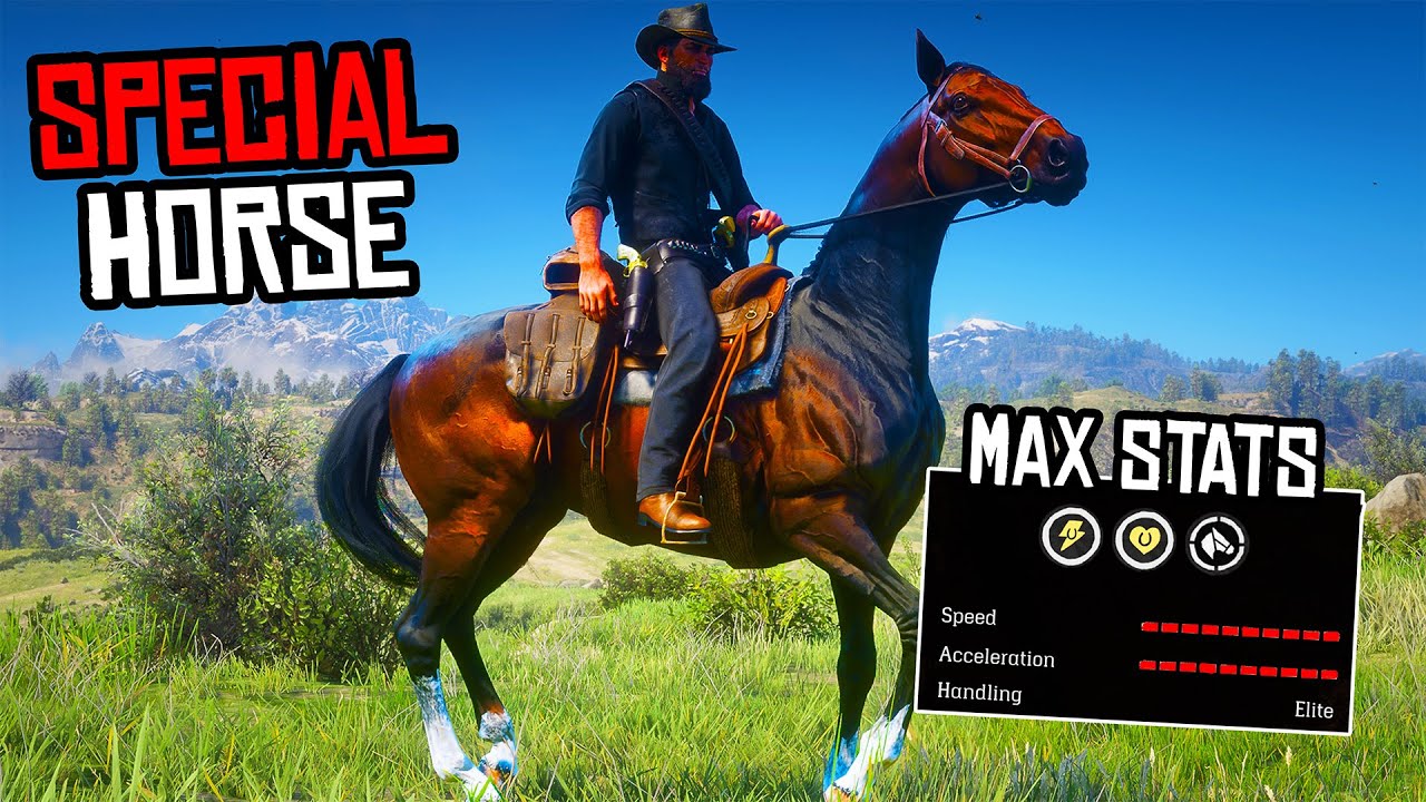 How To Get Special TURKOMAN still WORKS (Braithwaite Turkoman) - RDR 2 ...