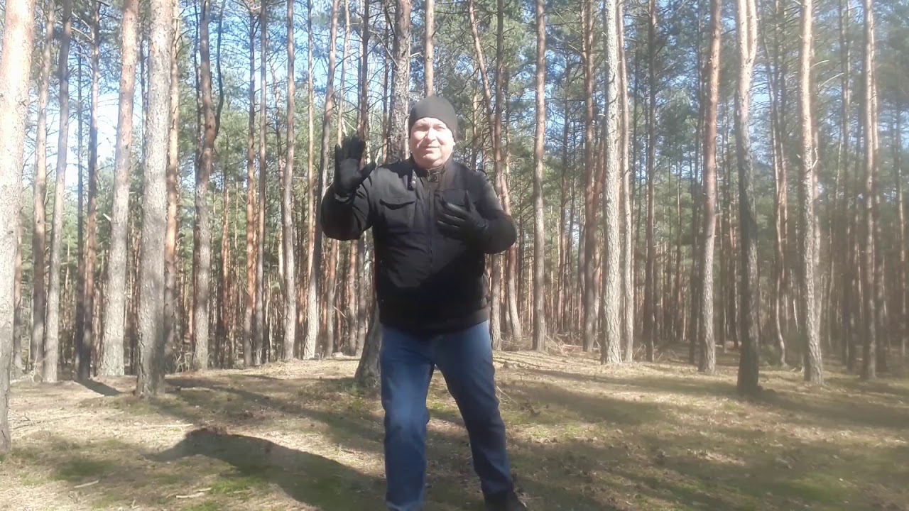 Wprowadzenie do Tai Chi - zuo gu you pan - YouTube