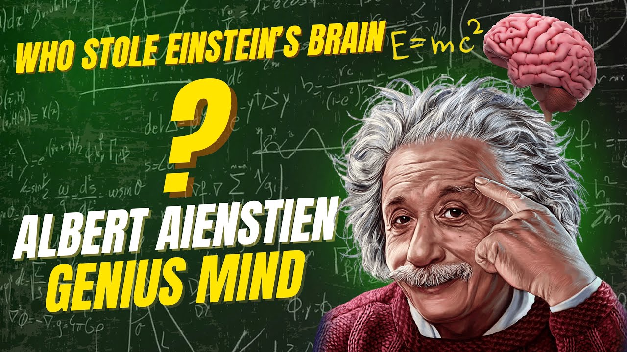 Albert Einstein Brain | Story | What happens with Einstein's Brain ...