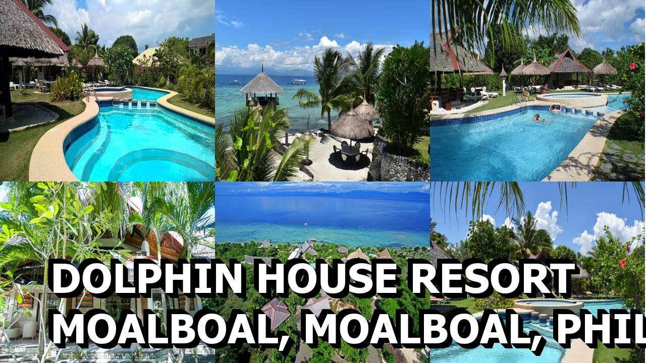 Dolphin House Resort Moalboal, Moalboal, Philippines - YouTube