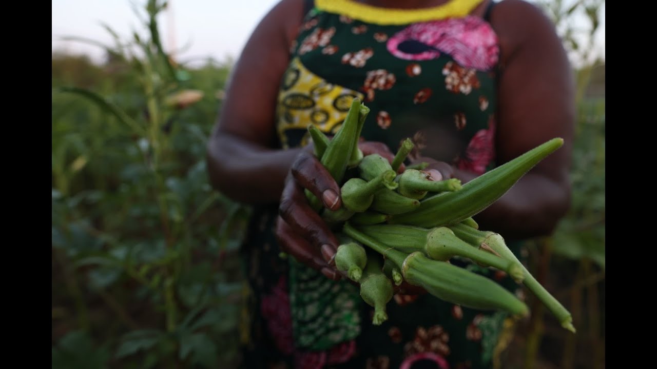Intro to UGAMI - Ugandan Community of Michigan's Farm - YouTube