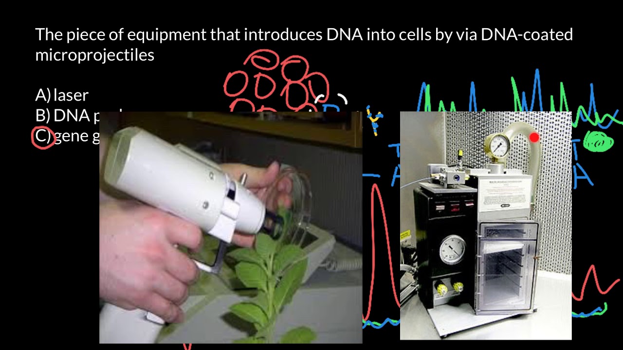 Laser, DNA probes and Gene gun explaned - YouTube