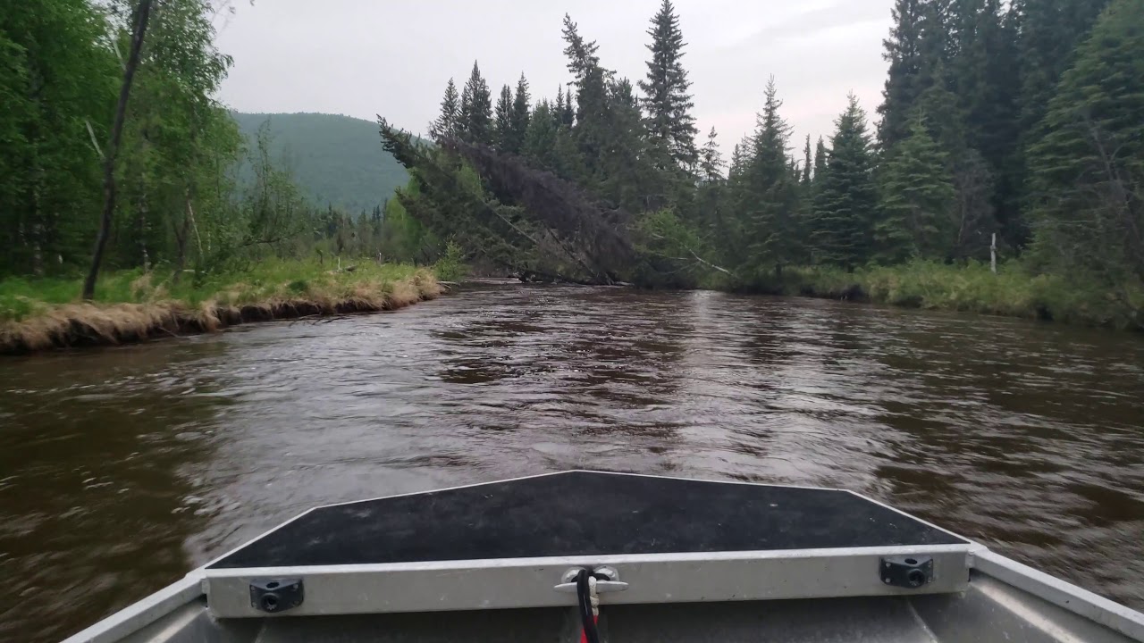 Jet Boat Salcha River Alaska - YouTube