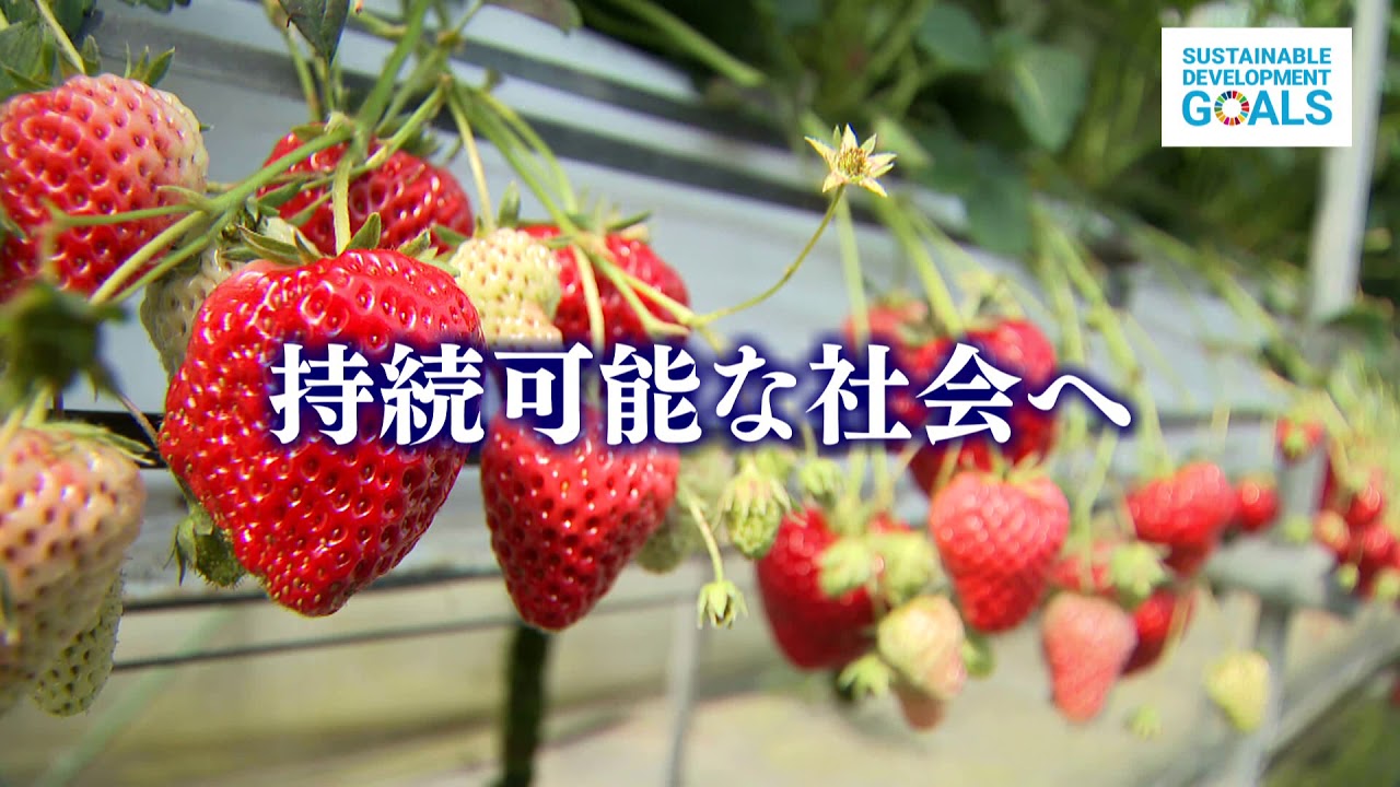 RiverDo!広テレSDGs CM - YouTube