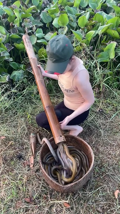 Survival eel trapping skills to catch giant eels fish - YouTube