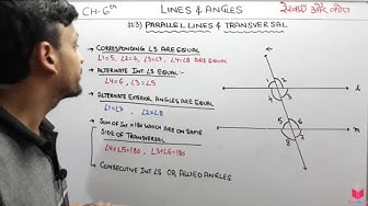 2- Class 9th Maths- CH- 6- Lines & Angles | Theorem 6.1 - Vertically Opposite Angles Are Equal ...