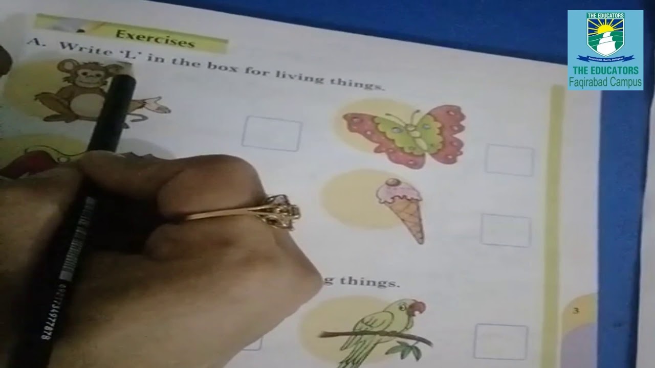 KIndergarten || Lecture #2 || Day#2 || Science - YouTube