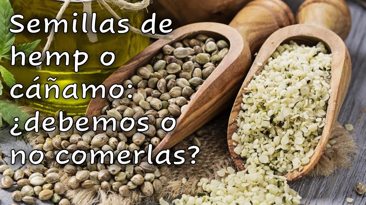 Semillas de hemp o cáñamo: ¿debemos o no comerlas? por Nely Helena ...