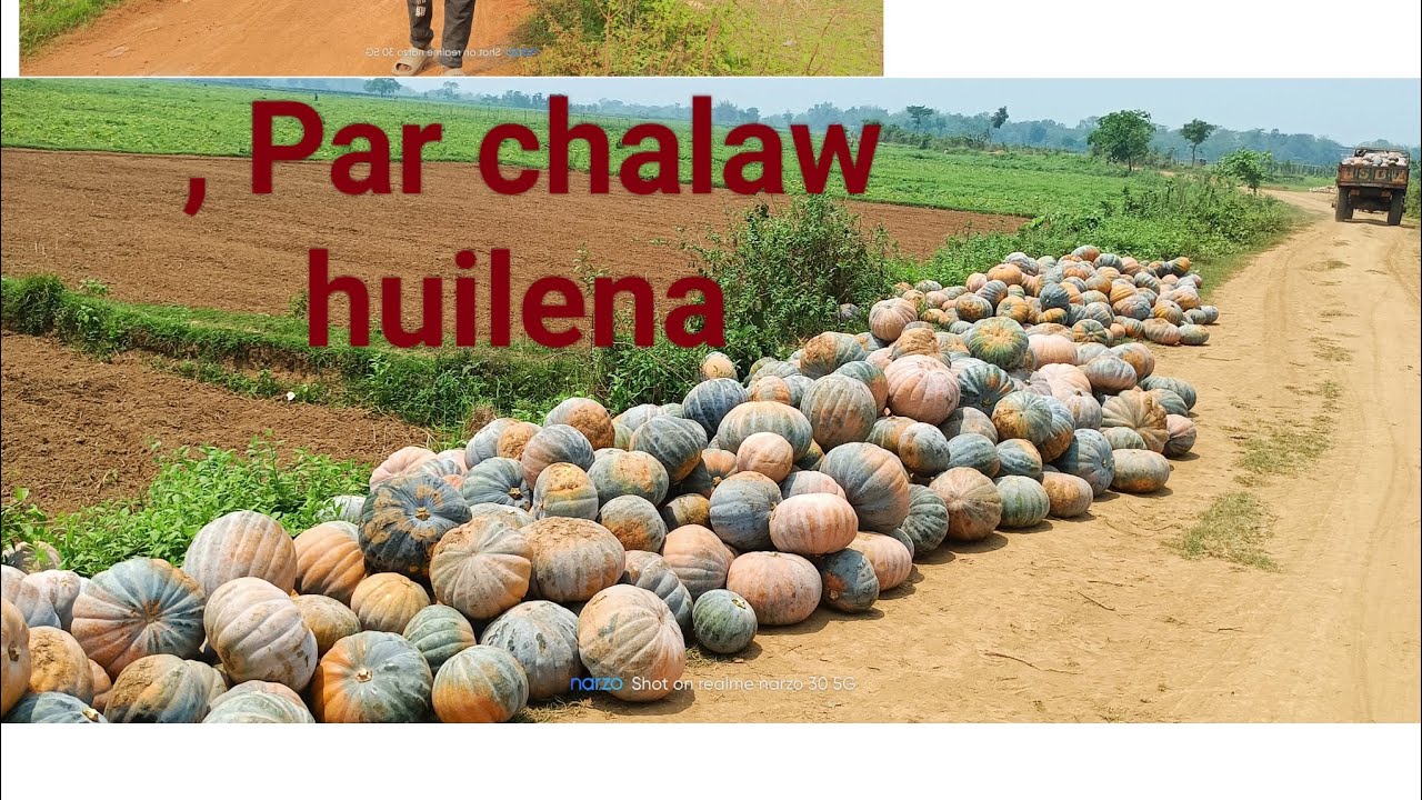 Anaj par chalaw huilena🌲 - YouTube