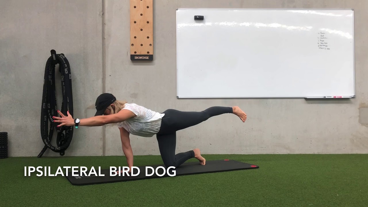 Ipsilateral Bird Dog - YouTube