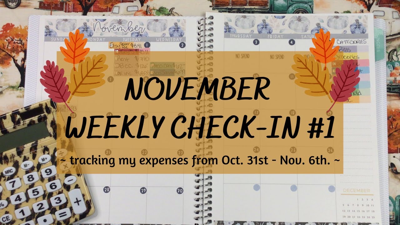 November Weekly Check-In #1 | Expense Tracking - YouTube