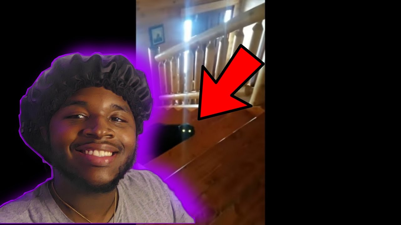 CATS ATTACKING PEOPLE COMPILATION 2021 *REACTION* - YouTube