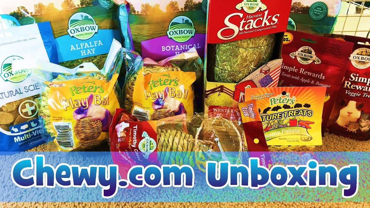 Chewy.com Package Unboxing - Guinea Pig Goodies - YouTube